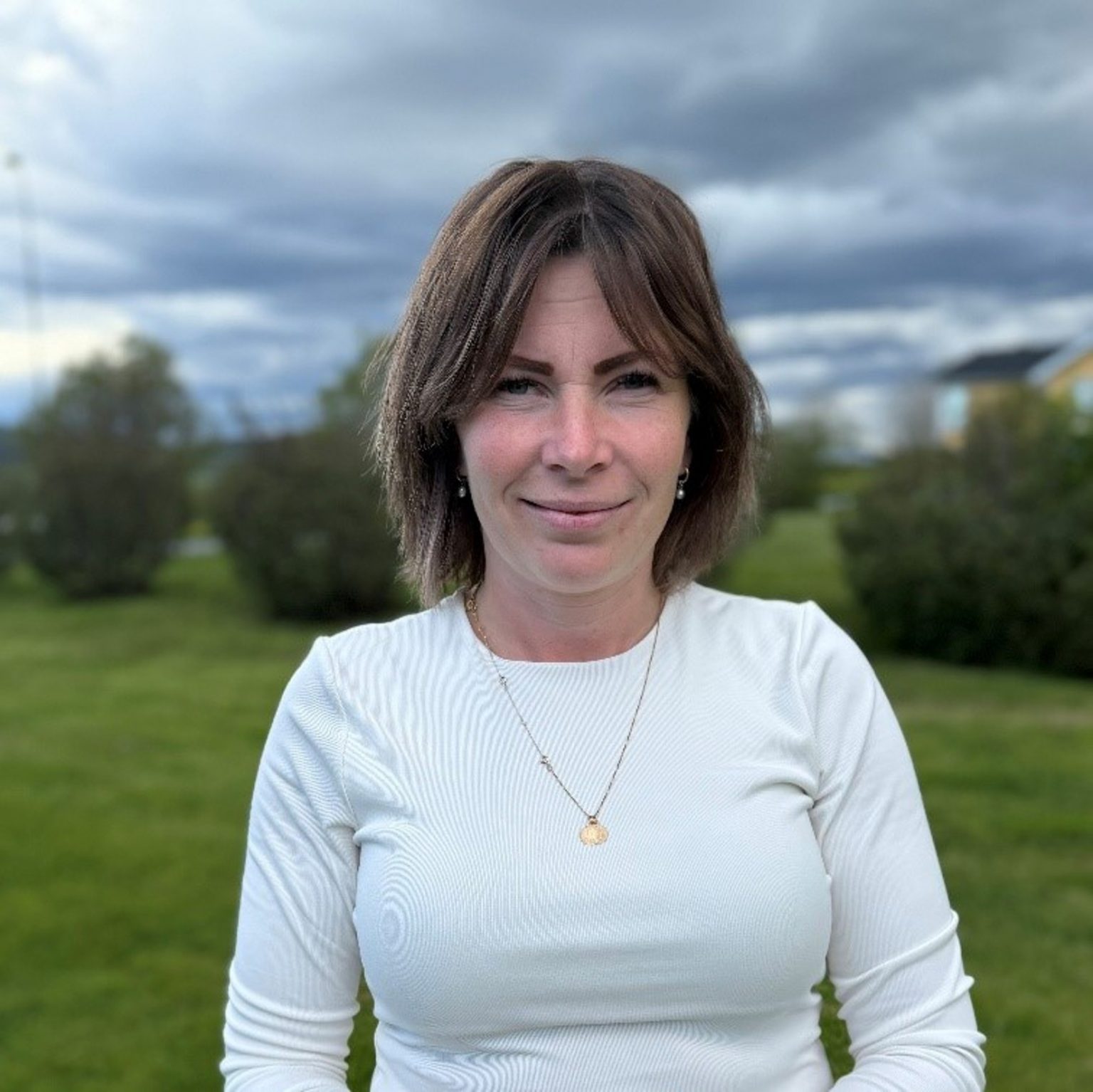 Nyhetsbrev: Status inför sommaren - VR Sverige